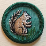 Counting Squirrels: Beware - Girl Scout History Project