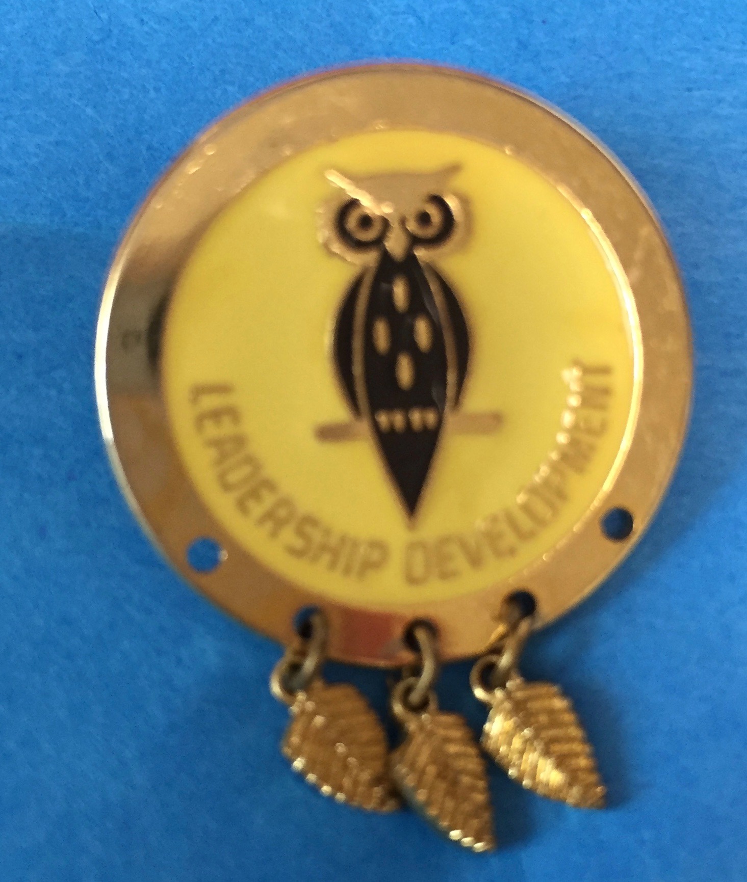 Whooo Earned These Pins? - Girl Scout History Project